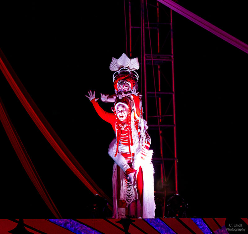 2023 Gallery - All Souls Procession